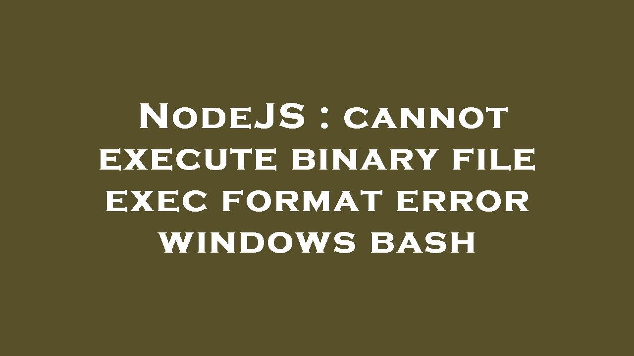 NodeJS : cannot execute binary file exec format error windows bash