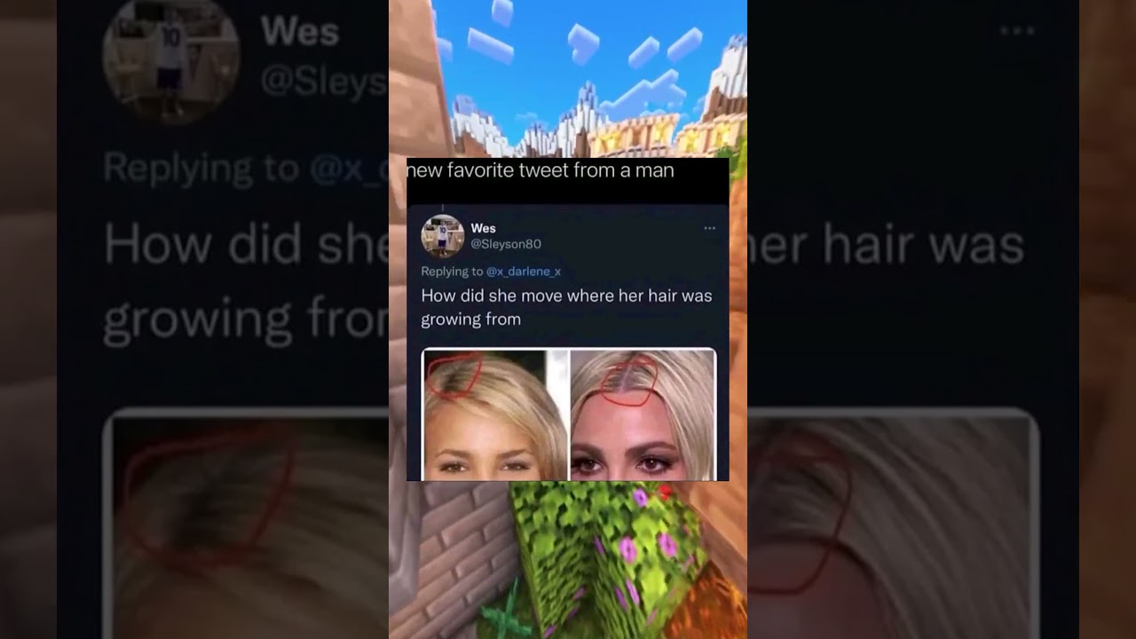 BirdApp Go BRR Memes