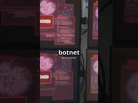 Botnet: The Online Zombie Army!!