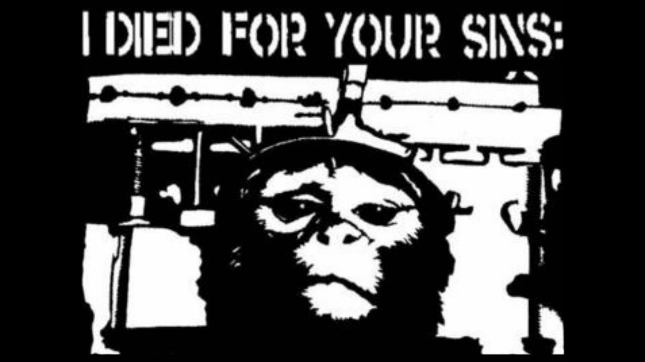 degraded - antispecist action