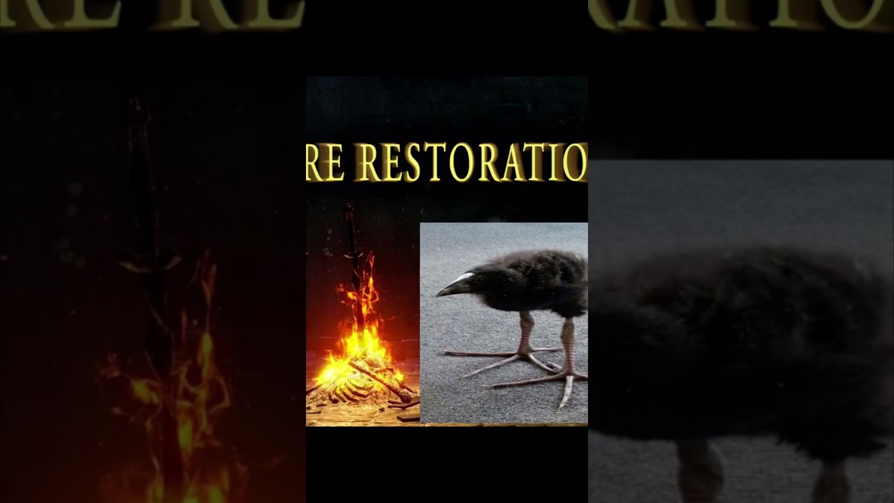RSSSFFG FGSSR GGFRR!!!!!!!!!!!