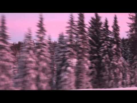 Video Detailed Statement - Recorded Music, NYU.