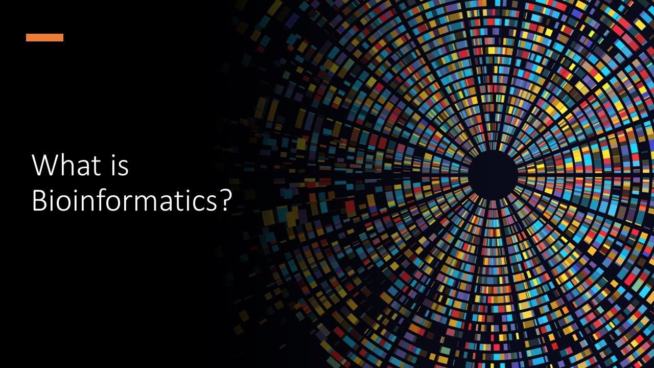 What is Bioinformatics?