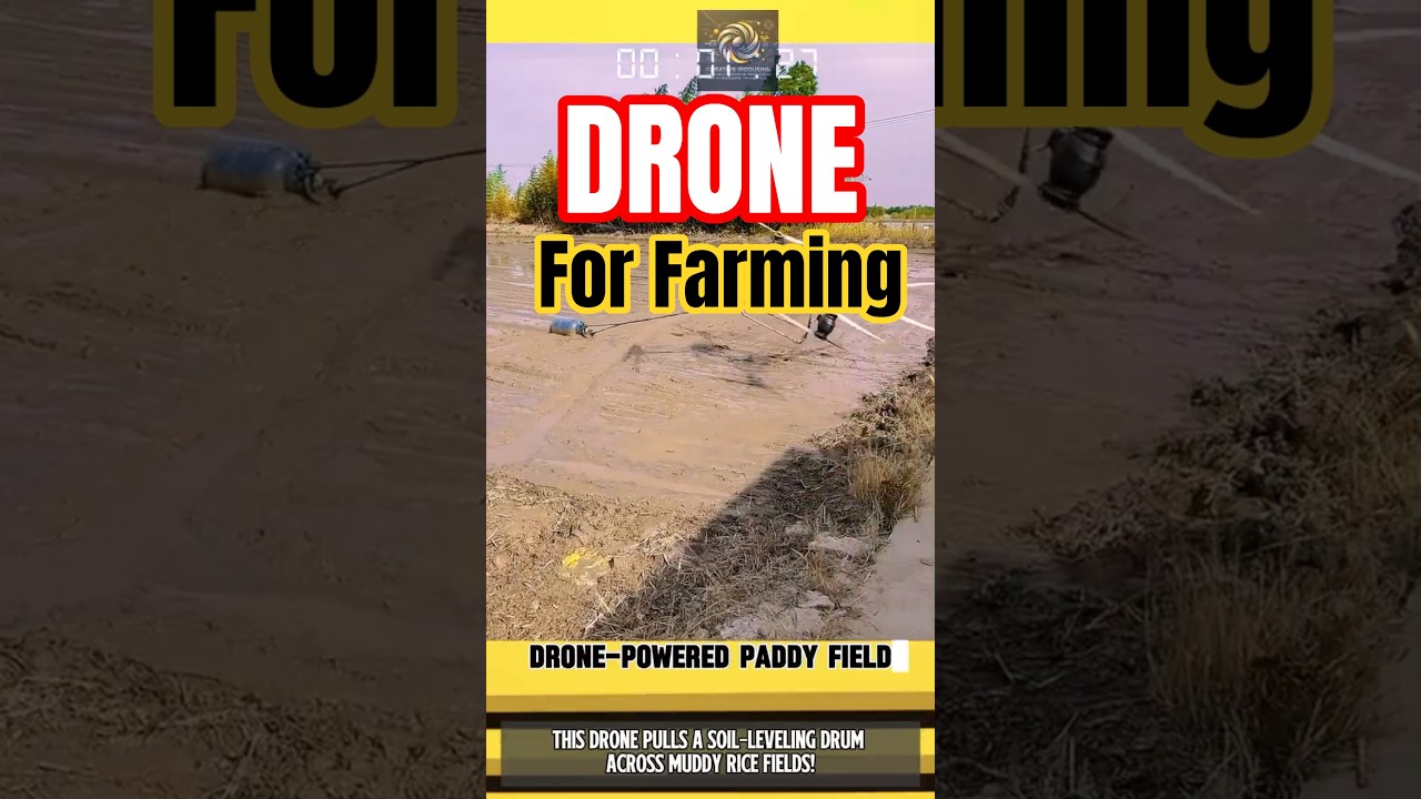 Drone-Powered Paddy Field Leveling Machine! Smart Farming Innovation