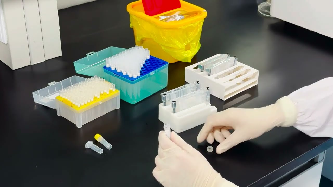 Ideal 30 fully automatic molecular diagnostic system instrument installation