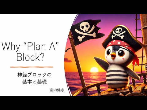 “Plan A Block” について – Muro's Regional Anesthesia House