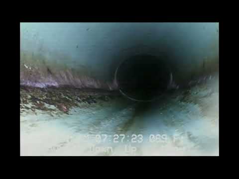 4631 133rd Pl NE – Inspection Boss