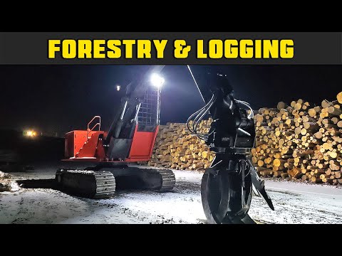 FDR Unloads Log Trucks on Night Shift With Madill 2800 - Real Life Forestry & Logging - FDR Logging