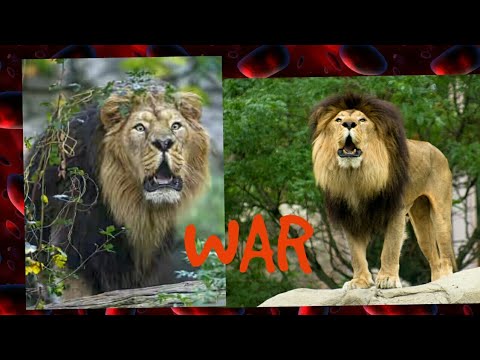WILDLIFE QUIZ MAMMALS PART 1