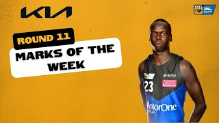 WAFL | West Australian Football League