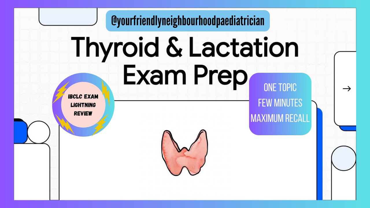 The Thyroid Gland & Lactation |  IBCLC Exam Lightning Review