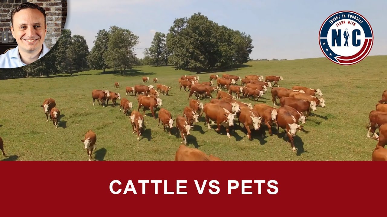 Understanding Cattle vs Pets in Modern Cyber Defense | Galaxy.ai
