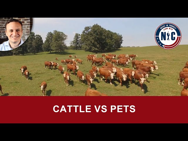 Understanding Cattle vs Pets in Modern Cyber Defense | Galaxy