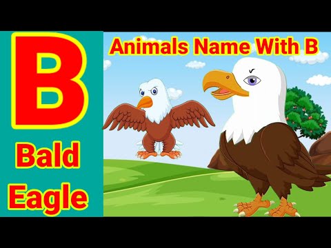 learn animals name for toddlers | Animals name start with B | Animals names start with Letter B