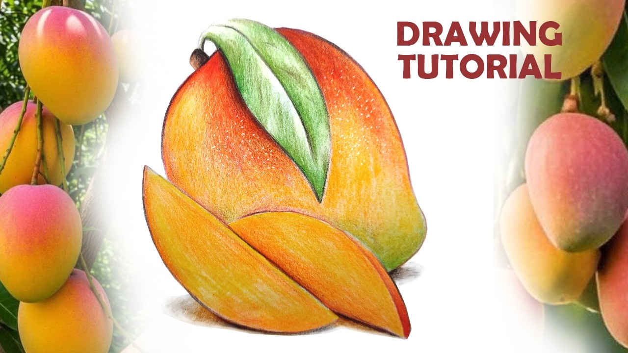 How to Draw Mango fruit Drawing🥭 | Mango drawing & Coloring page tutorial | Fruits Drawing tutorial