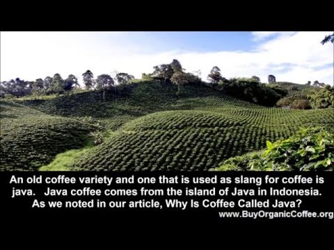Coffee Varieties: Java