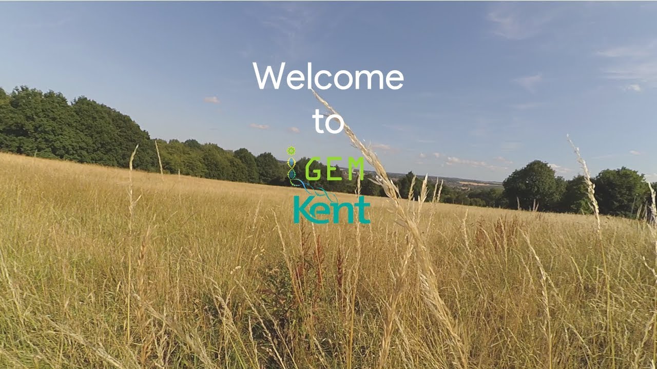 This is iGEM 2017 Team Kent