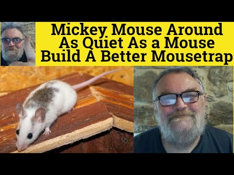 🔵 Mickey Mouse Around - As Quiet As a Mouse - As Poor As a Church Mouse - Meaning - Mouse Idioms