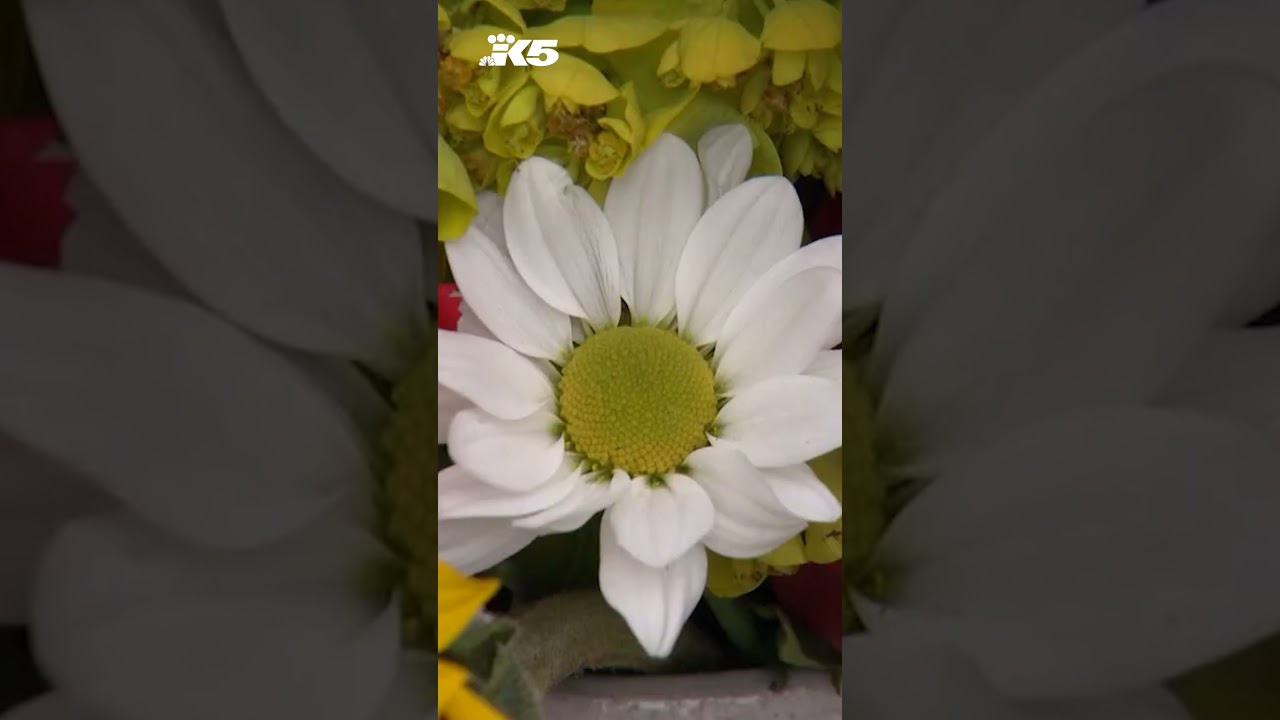 Capitol Hill light rail stabbing suspect arrested