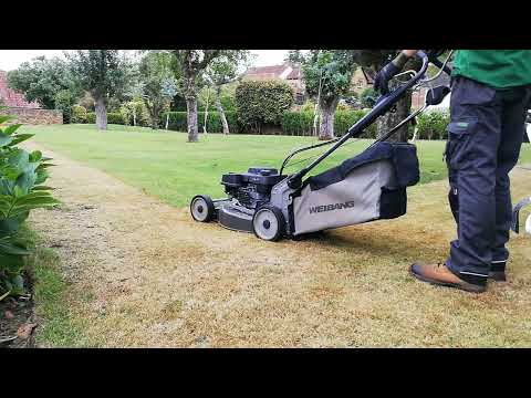 Cool Season LAWN CARE, Dethatching / Scarifying