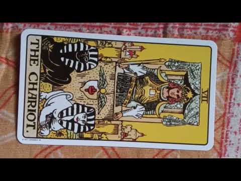 the chariot card meaning in hindi -mejor arcana group #tarot #learntarotcardmeanings #astrology
