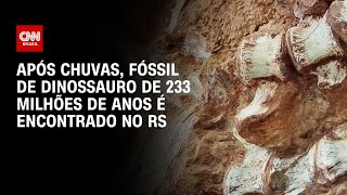 Fósseis dos humanos mais antigos são encontrados em caverna na Espanha | CNN Brasil