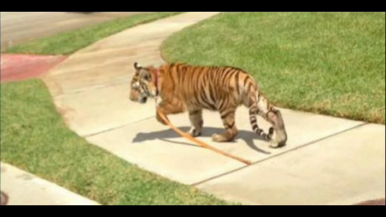 Introduction to Philosophy - Context (Module 1)