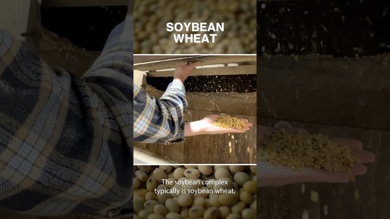 Food or fuel? Renewable energy is reframing agricultural markets. | Presented by CME Group