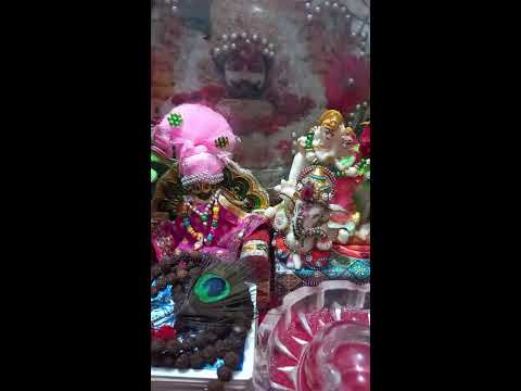 🃏 Tarot Live in Hindi | सच्चे इरादों और छिपी भावनाओं की झलक! Aakriti astro tarot card reading 🙏
