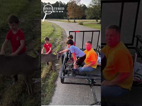 Man cited for shooting, killing Livingston’s pet deer “Butterbeans” #livingstonparish