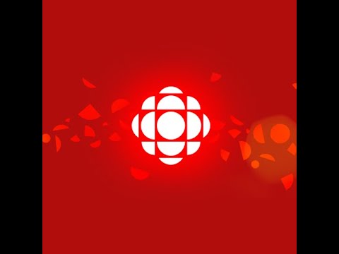 CBC Windsor News: June 17, 2025