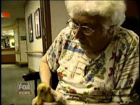 Ducks Deliver Mail at Nursing Home | For Good News