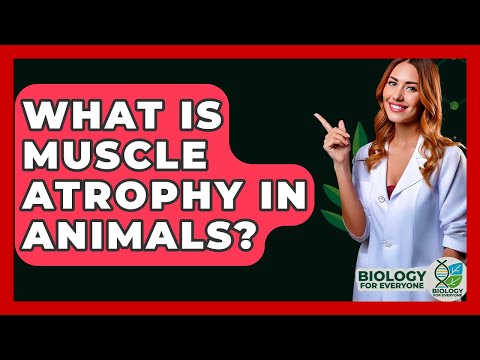 What Is Muscle Atrophy In Animals? - Biology For Everyone