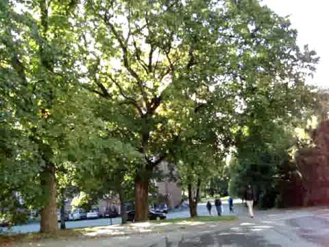 UMB Campus Part 1