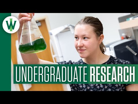Undergraduate Research | Illinois Wesleyan