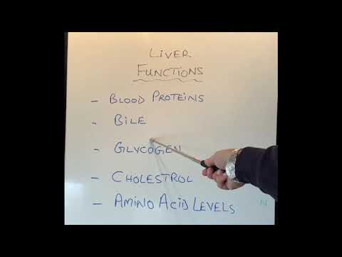 S4E2 what functions does liver perform