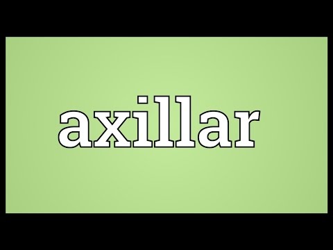 Axillar Meaning