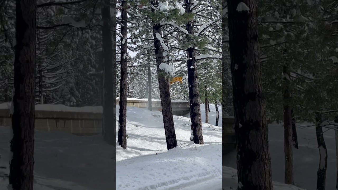 #anqueHallanpruebasEnTucamino