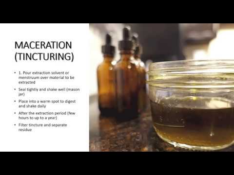 DISTILLATION and EXTRACTION in Alchemy and Herbalism 101. Maceration and Tincturing.