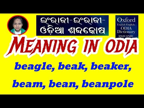 beagle, beak, beaker, beam, bean, beanpole Meaning In Odia & English