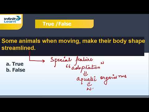 Some animals when moving make their body shape streamlined.