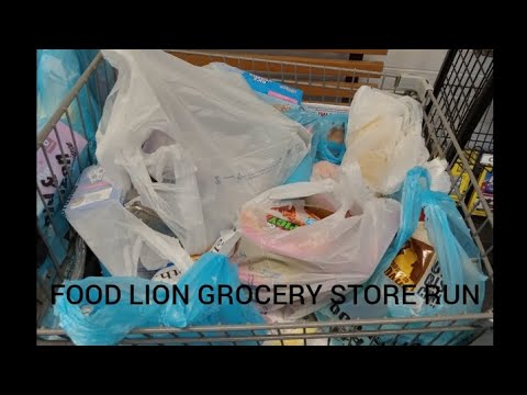 SUPER mini vlog:FOOD LION GROCERY store run|EGGS 8.99 🙄🫣🤷🏽♀️|MVP Card #grocery #crystals_gems