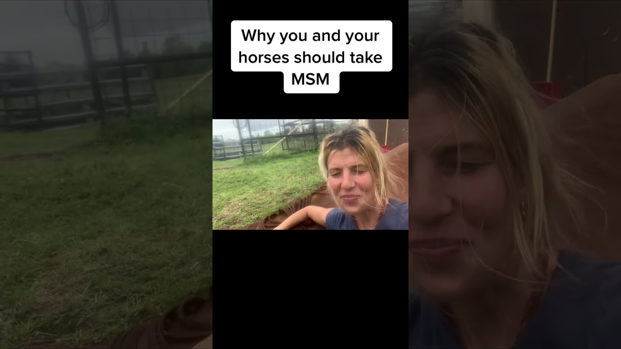 MSM and why you and your horse should take it.