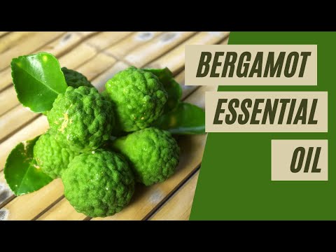 Bergamot Essential Oil Everything You Need to Know