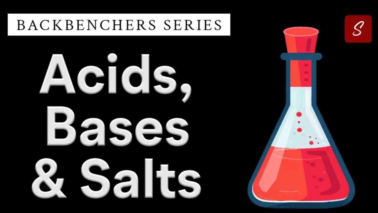 Understanding Acids, Bases, and Salts: A Comprehensive Guide for Class ... Understanding Acids, Bases, and Salts: A Comprehensive Guide for Class ...