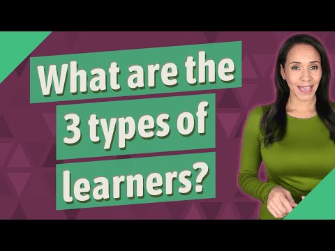What are the 3 types of learners?