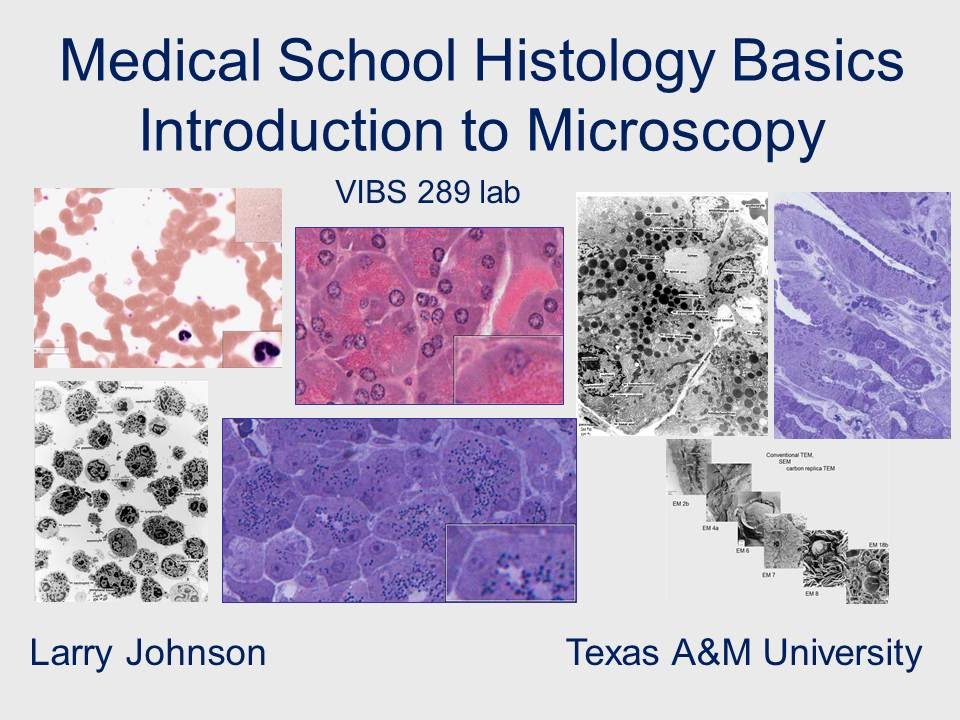 Medical School Histology Basics - Intro to microscopy (shortened)