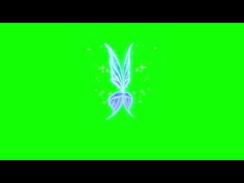 2D animated fairy wings front view.Looped animated stock footage. video full hd 4k