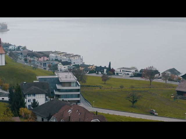 Prosumer and Energy Optimisation