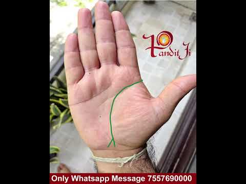 जन्म स्थान से दूर कामयाबी | #PanditJi #Hastrekha #palmreading #palmistry #rishabhjithepalmist